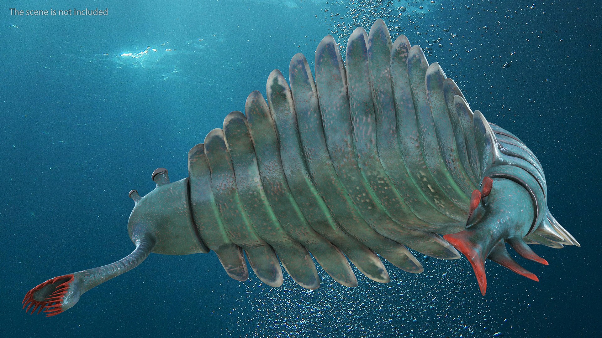 Green Opabinia Flip 3D Model - TurboSquid 2177996