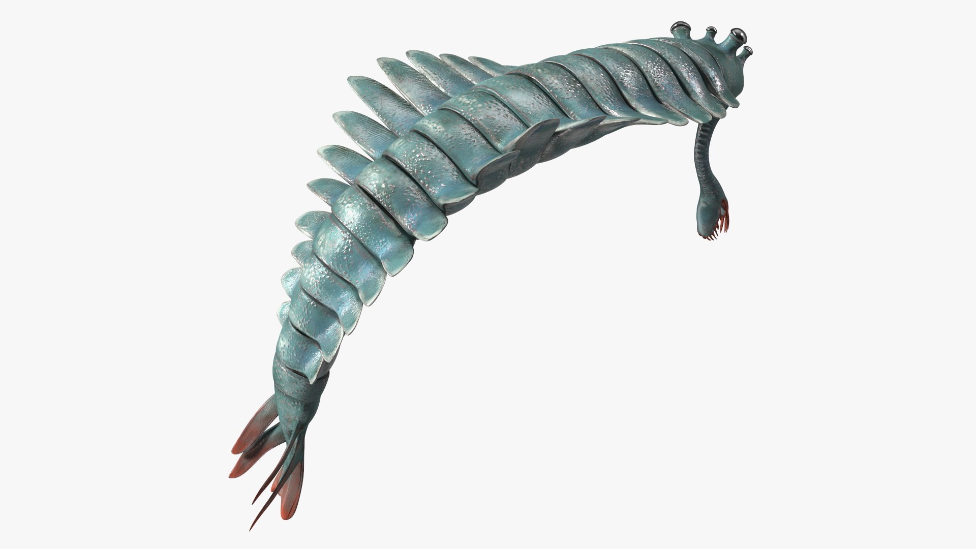 Green Opabinia Flip 3D Model - TurboSquid 2177996