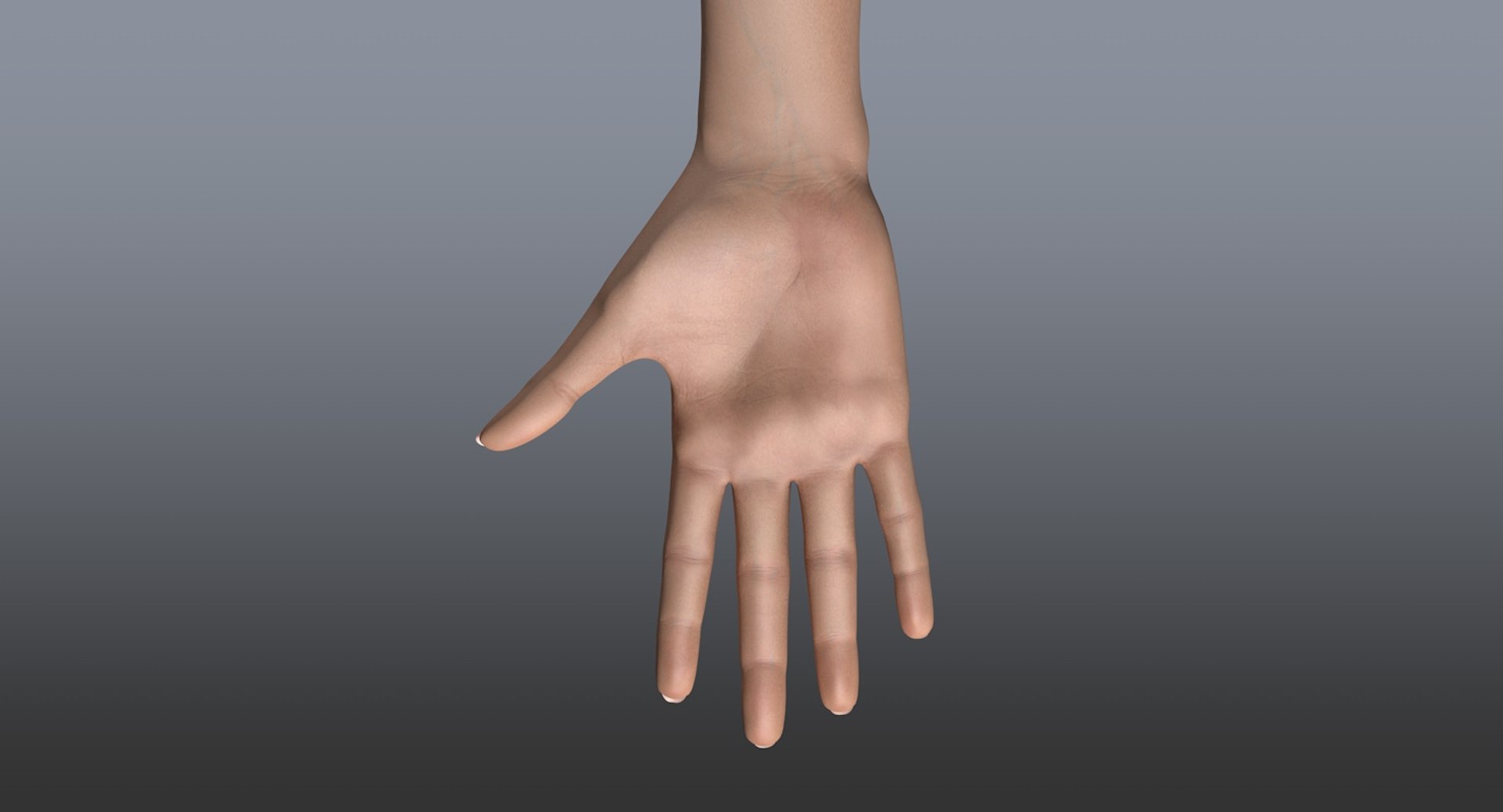 Rigged Human Hands Female C4d
