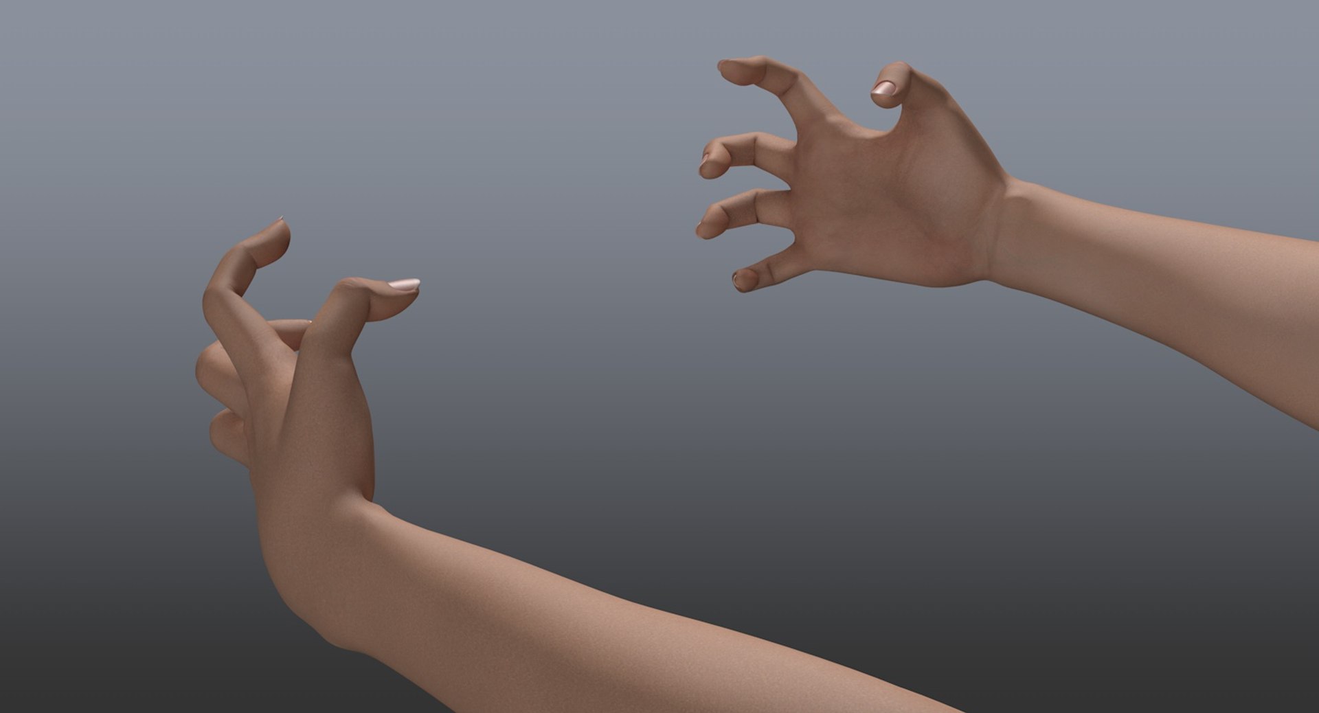 Rigged Human Hands Female C4d