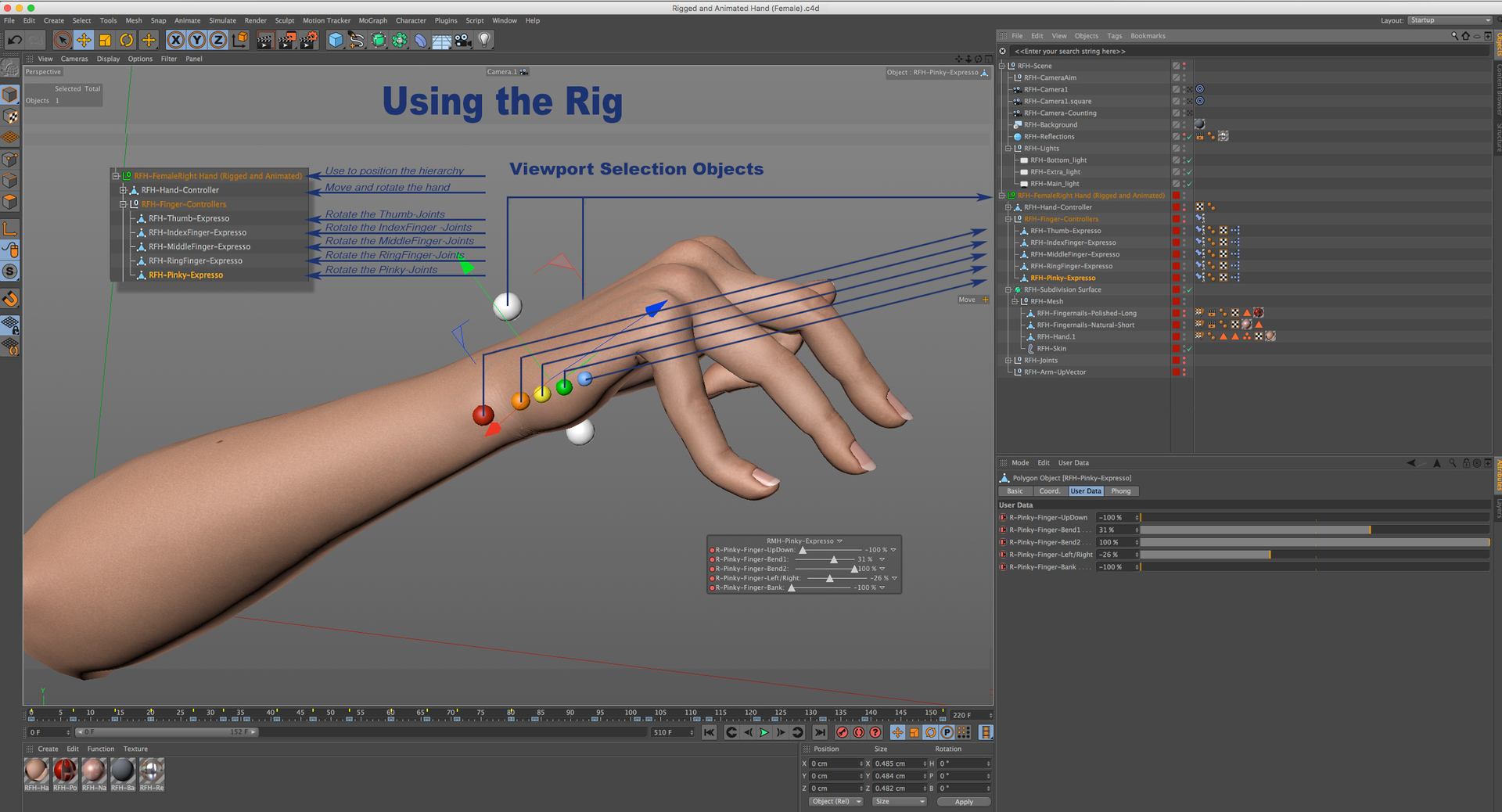rigged human hands female c4d
