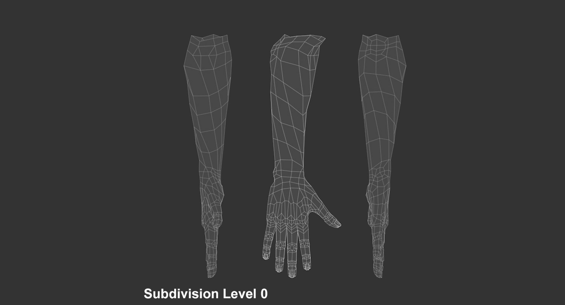 Rigged Human Hands Female C4d