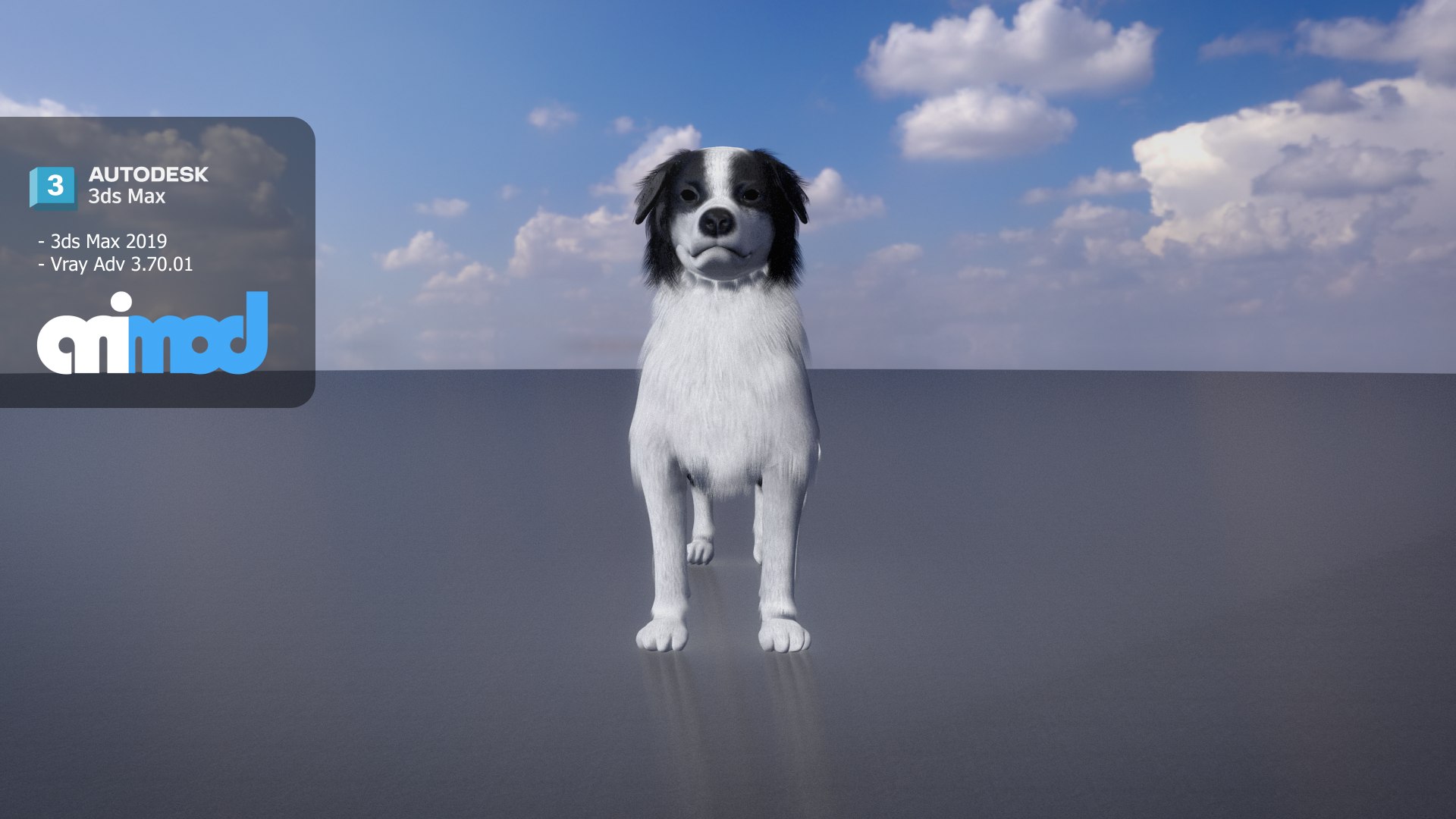 BorderCollieBordernesedog 3D Model - TurboSquid 2267328
