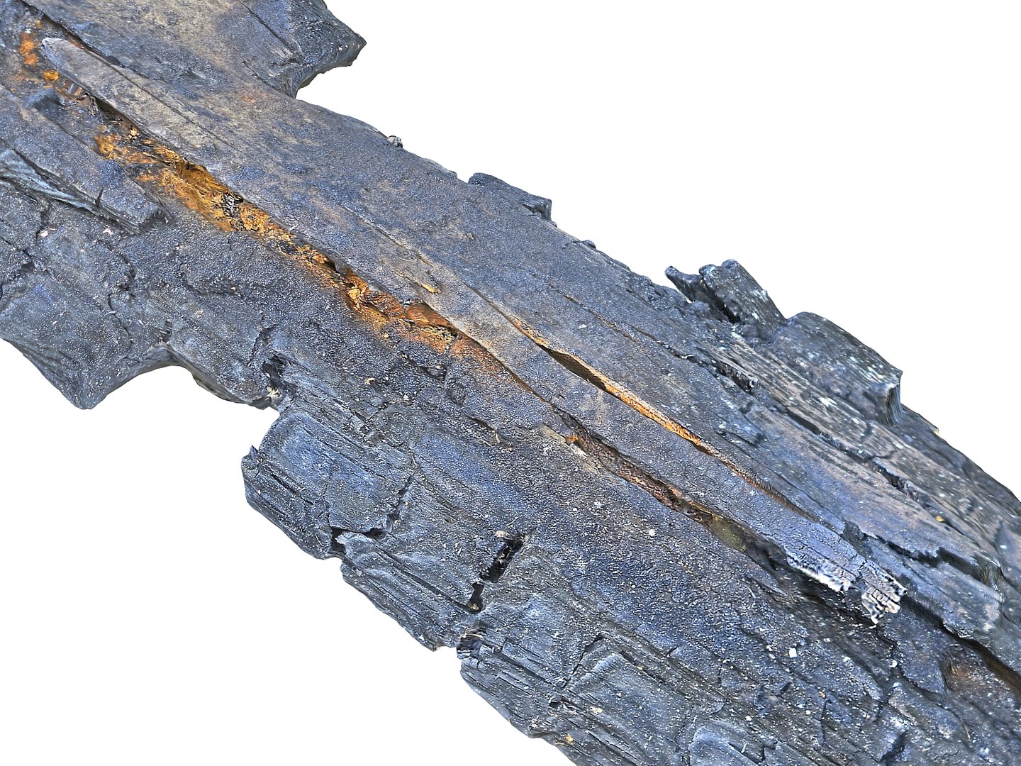 Burned Tree Branch 8k 3D Model - TurboSquid 1578944