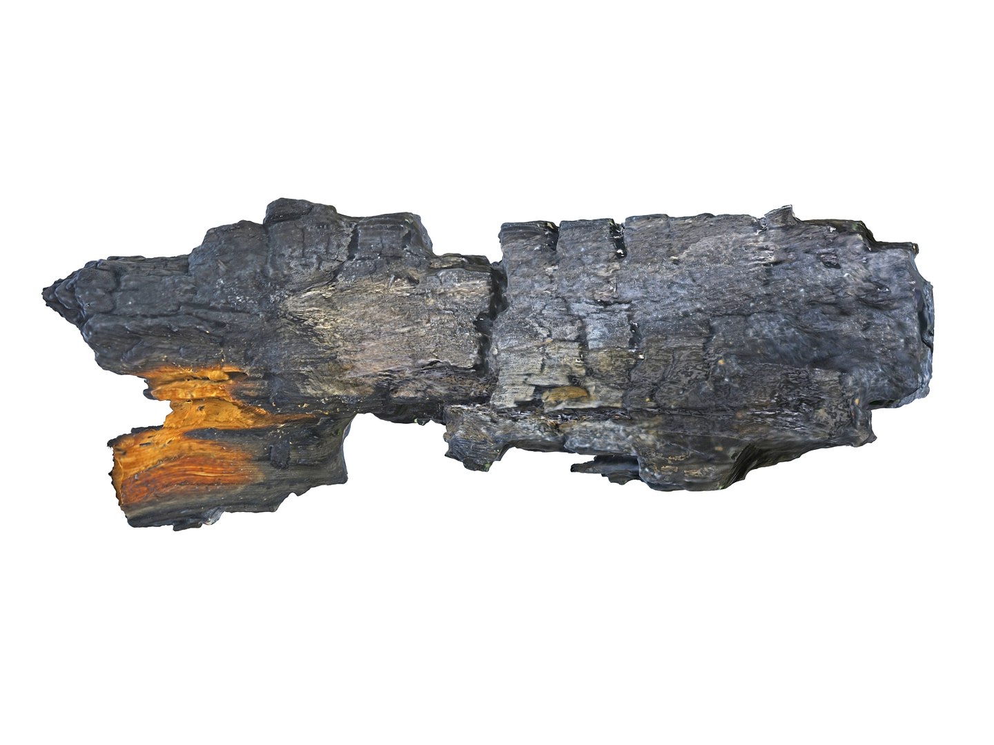 Burned Tree Branch 8k 3D Model - TurboSquid 1578944