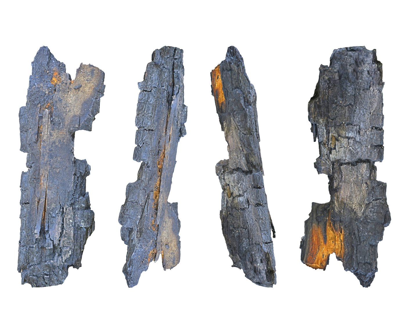 Burned Tree Branch 8k 3D Model - TurboSquid 1578944