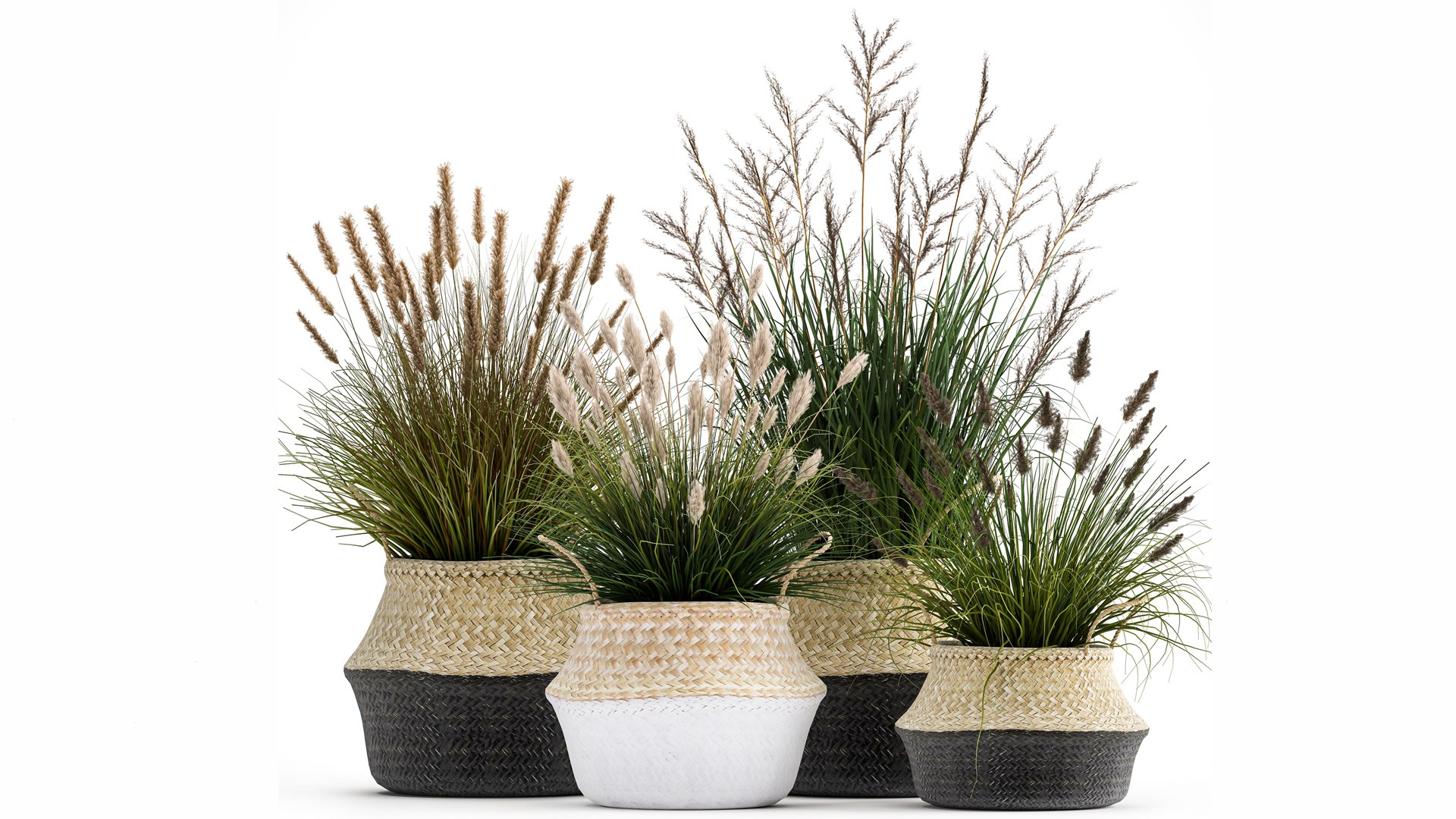 3D Ornamental Reeds Plants In Rattan Baskets 1028 Model - TurboSquid ...