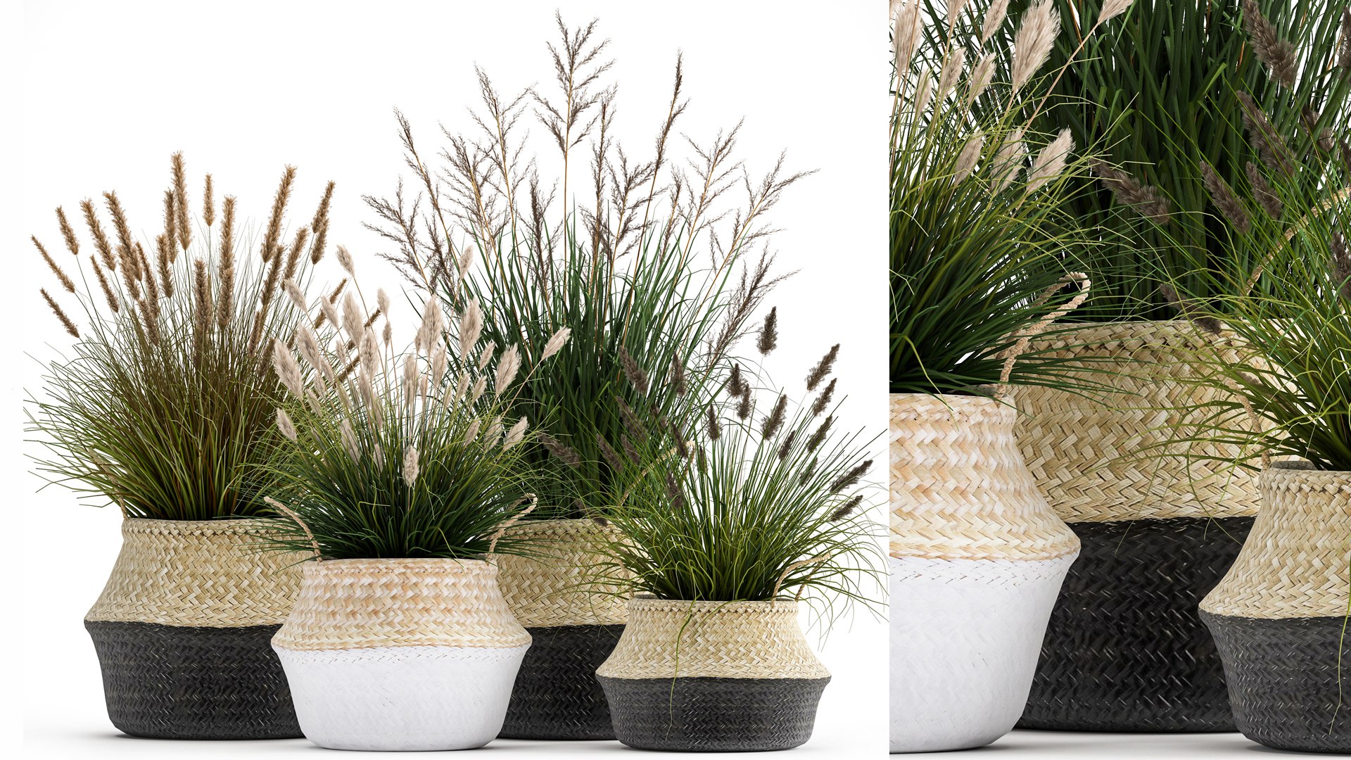3D Ornamental Reeds Plants In Rattan Baskets 1028 Model - TurboSquid ...