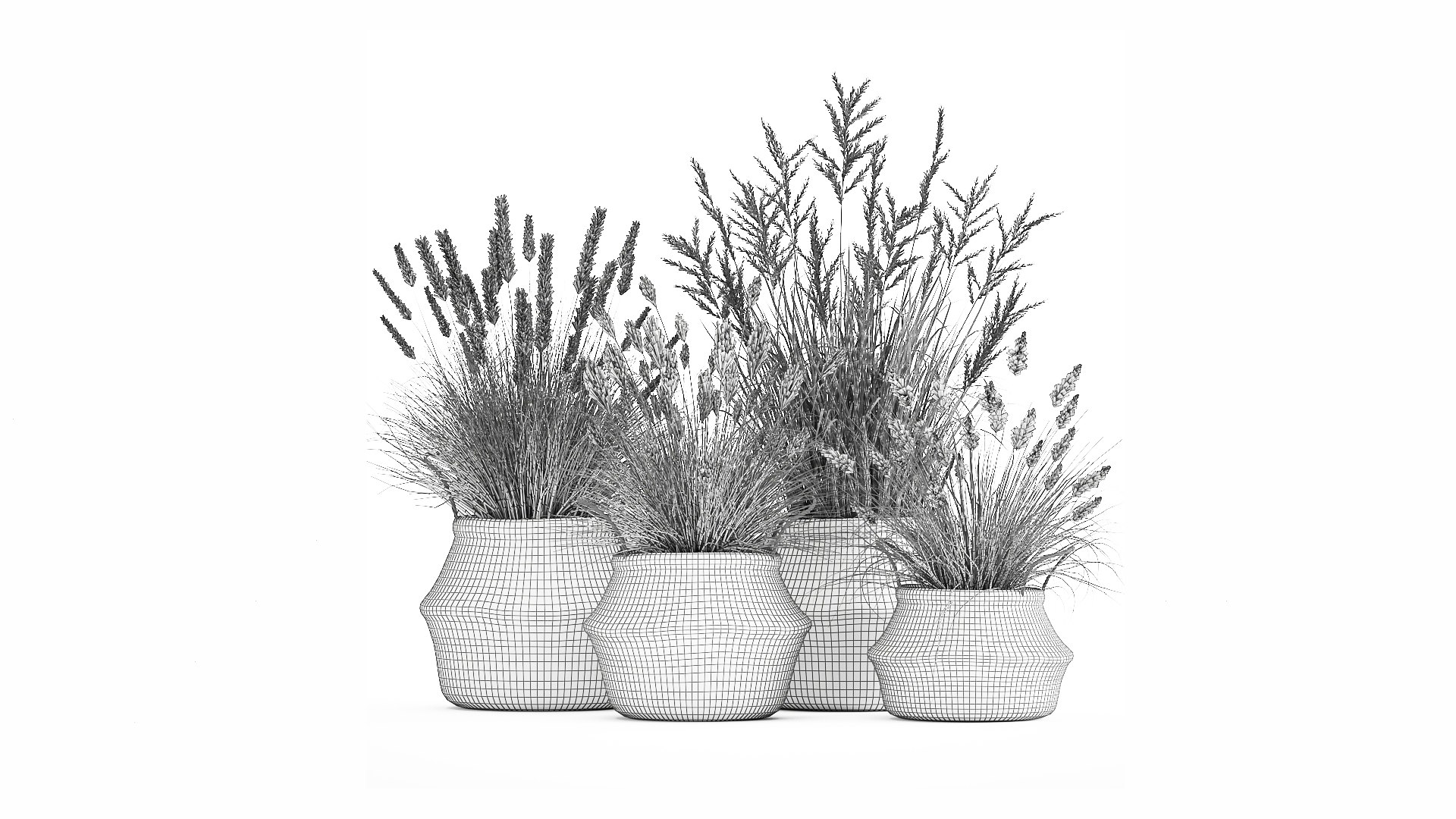 3D Ornamental Reeds Plants In Rattan Baskets 1028 Model - TurboSquid ...