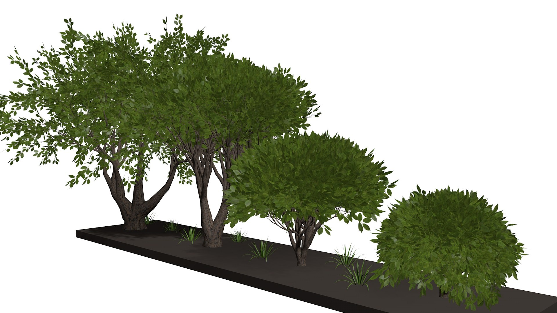 3D Trees and bushes - TurboSquid 1775386