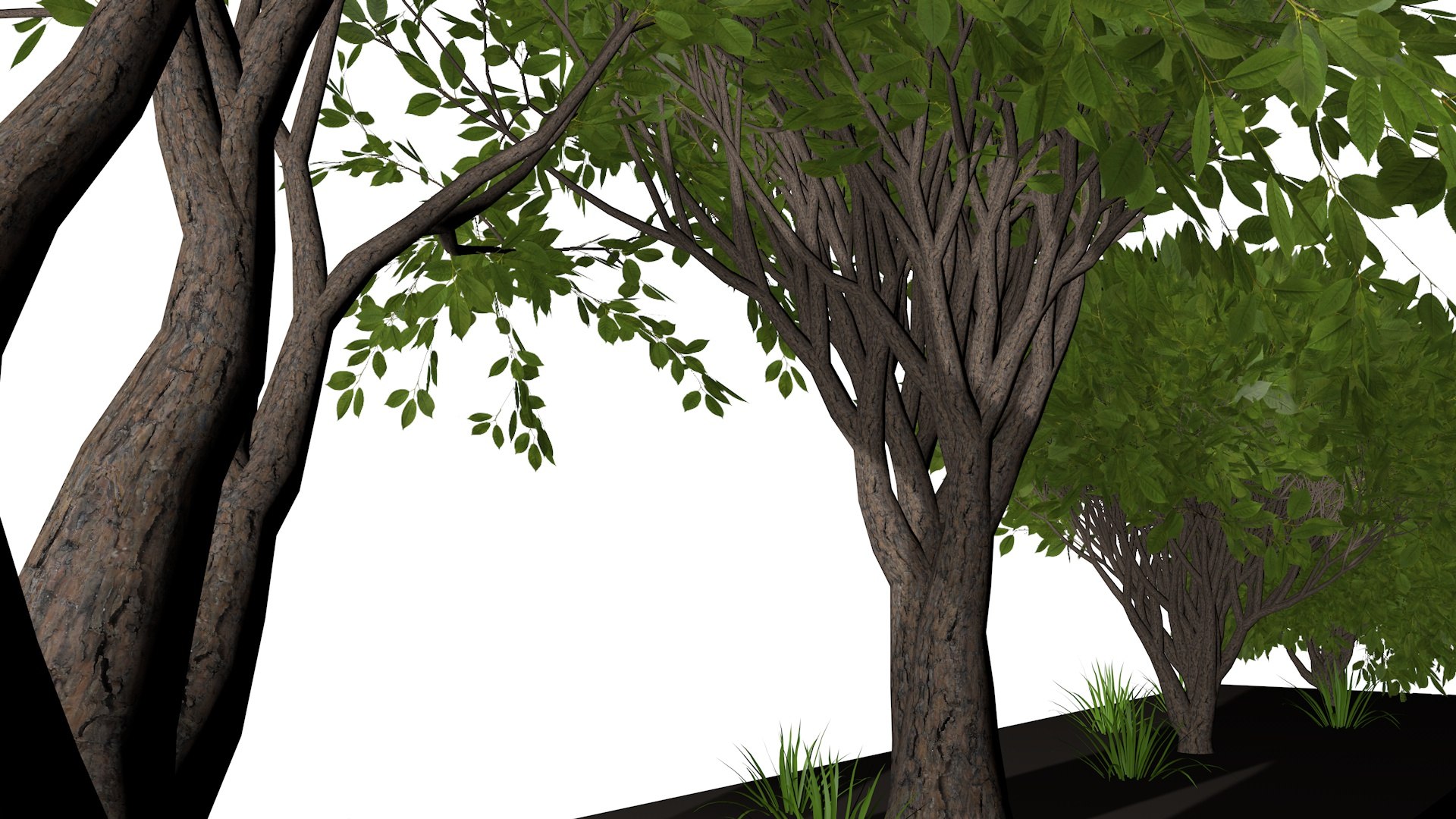 3D Trees and bushes - TurboSquid 1775386