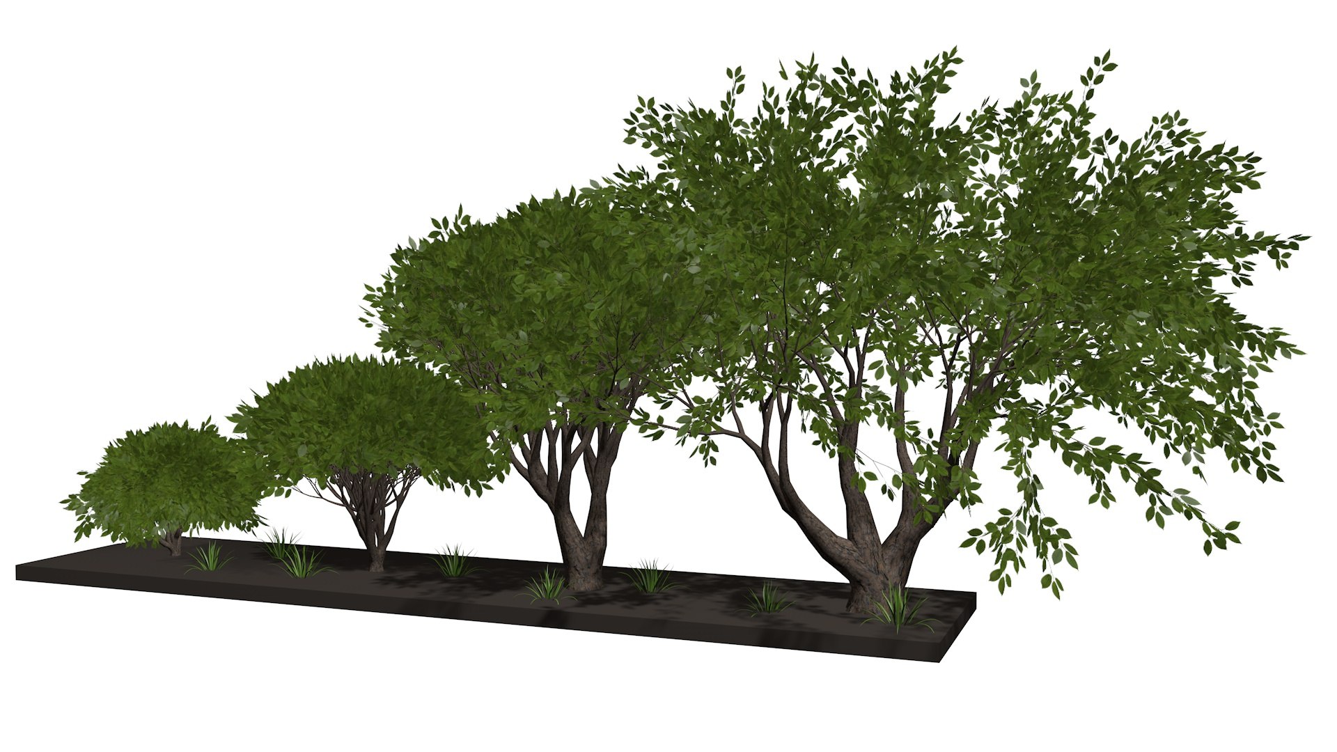 3D Trees and bushes - TurboSquid 1775386
