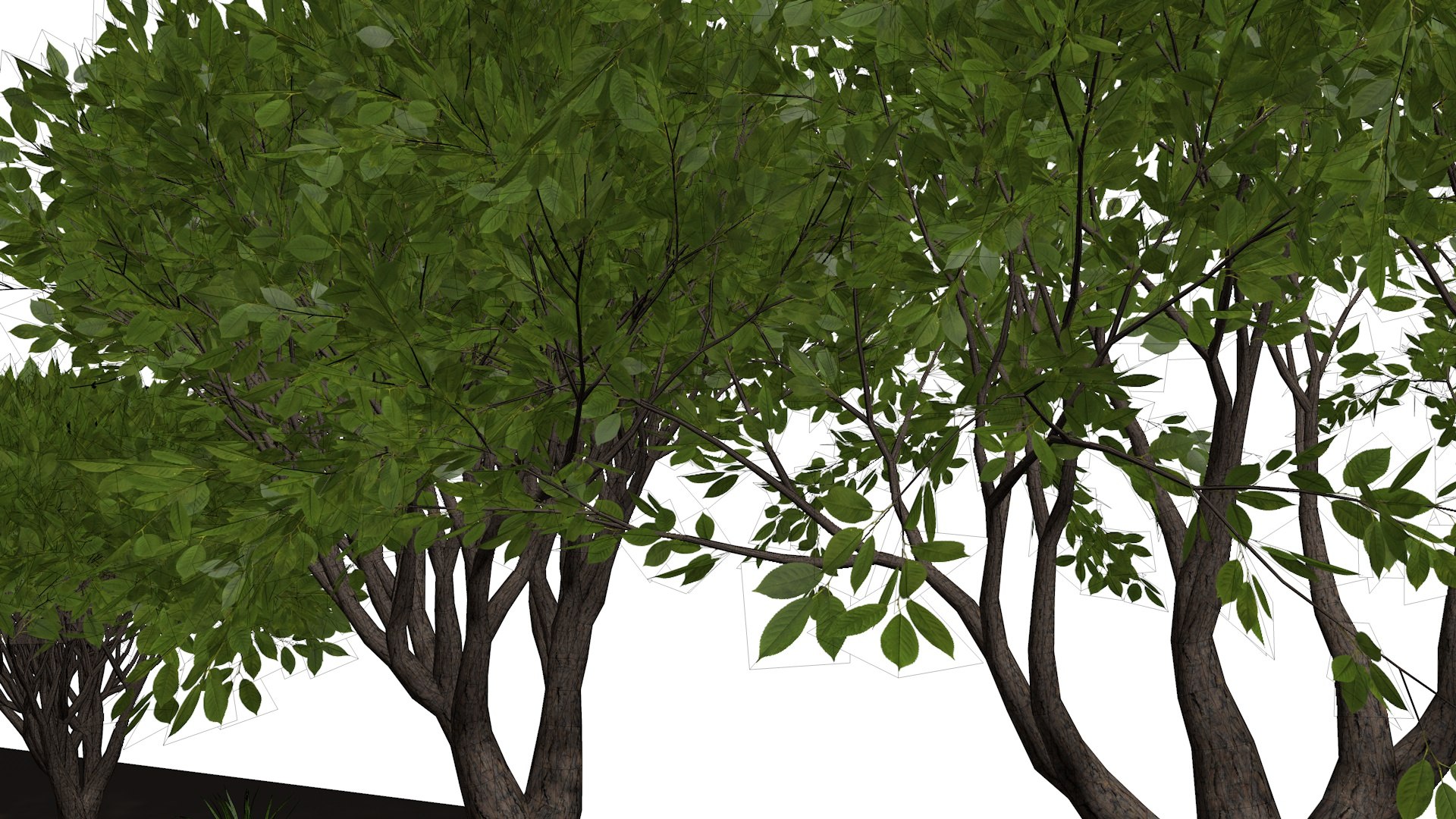 3D Trees and bushes - TurboSquid 1775386