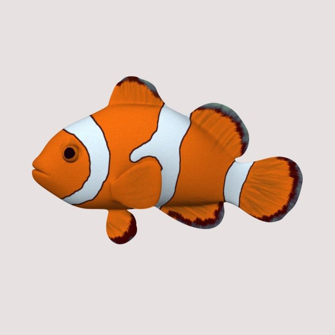 3d Fishes Aquarium