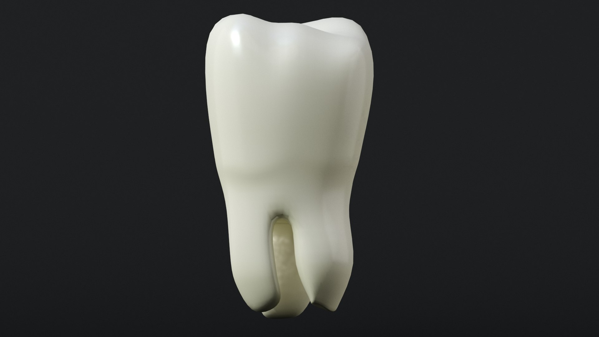 3D Tooth - TurboSquid 1533290