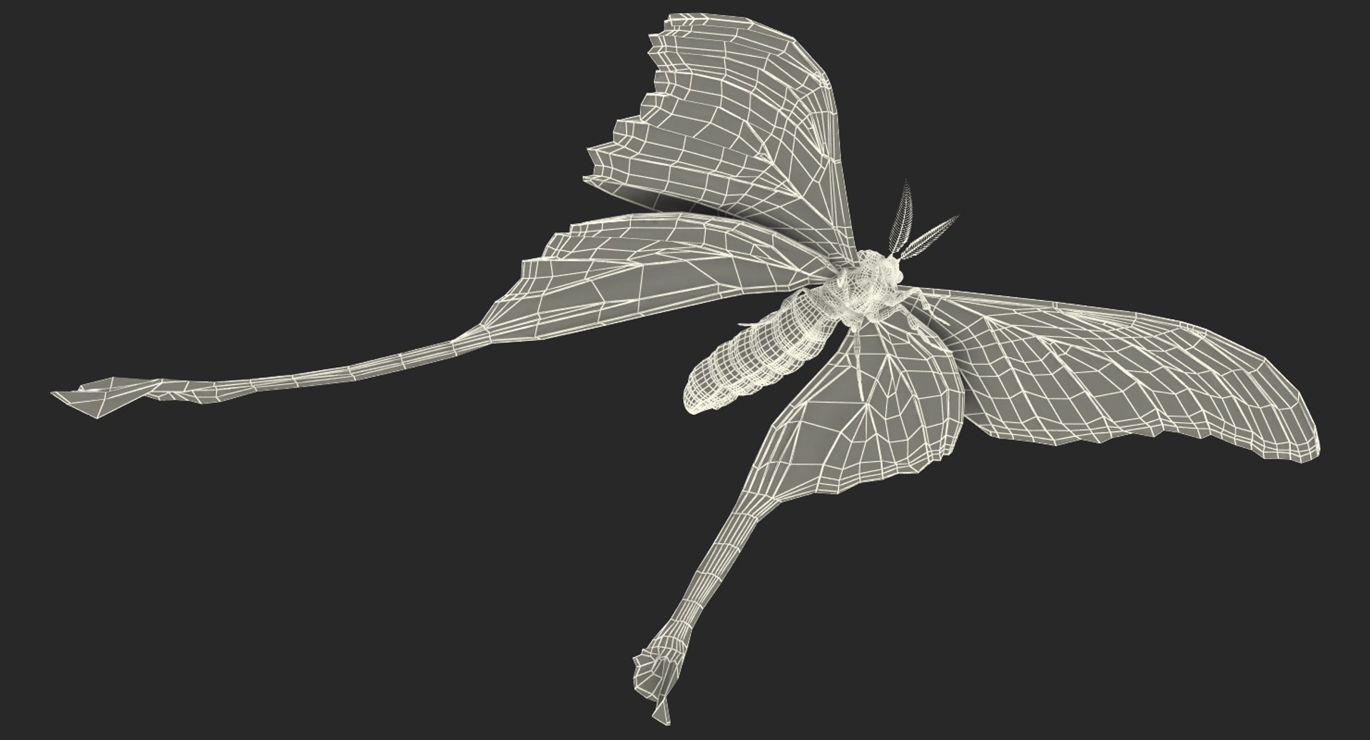 3d comet moth fur model