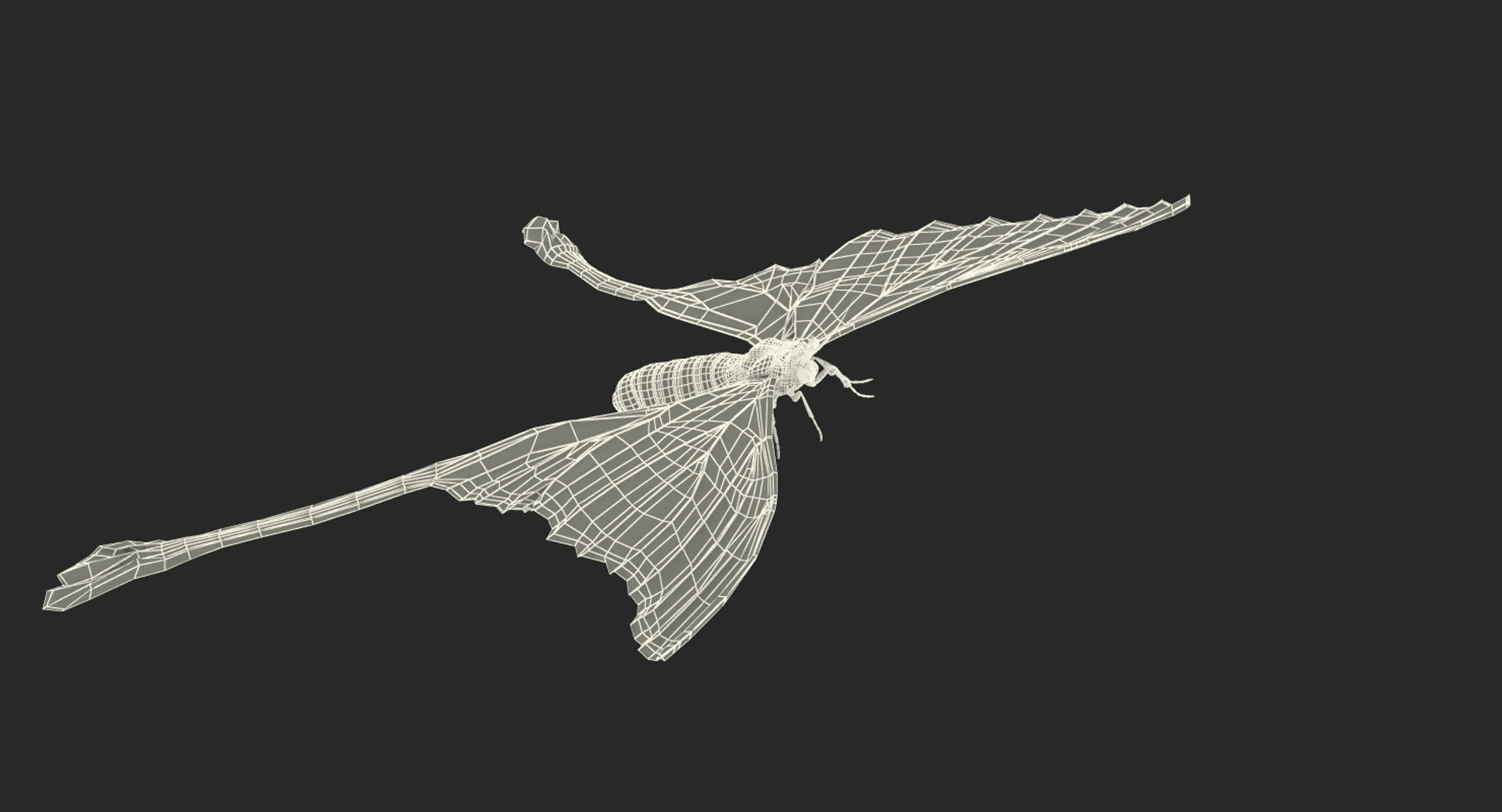 3d comet moth fur model