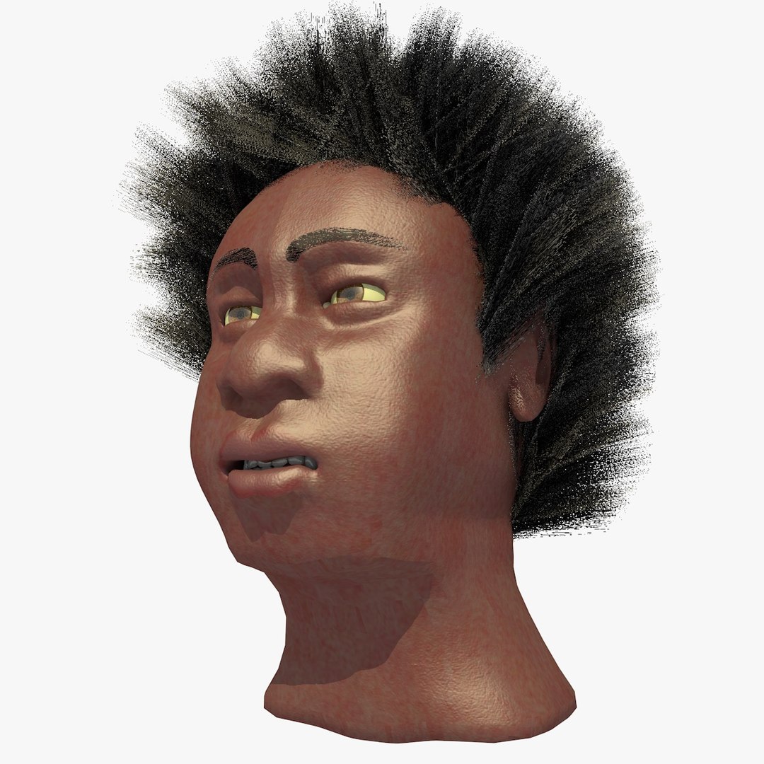C4d African Male Afro Head