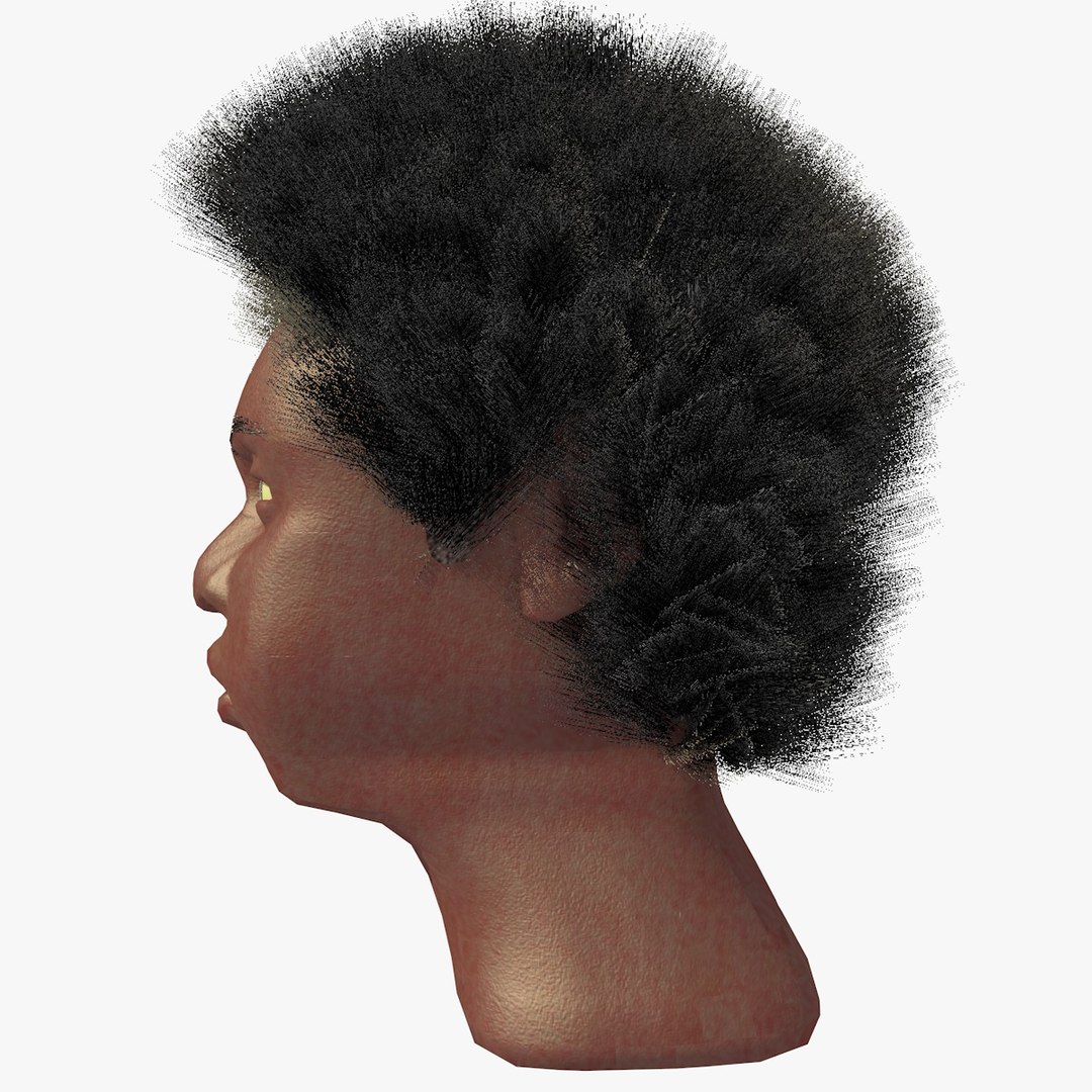 C4d African Male Afro Head