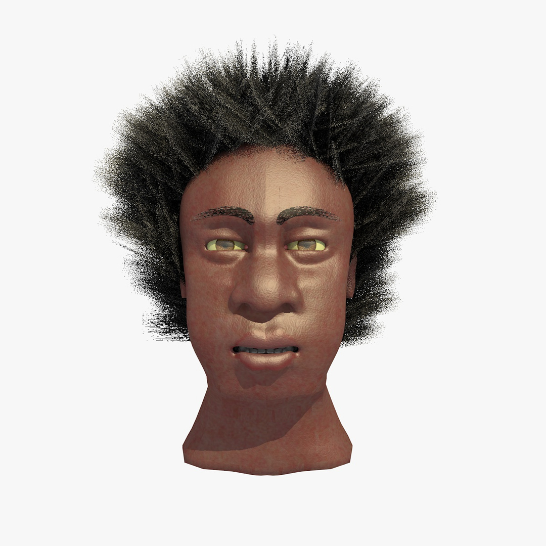C4d African Male Afro Head