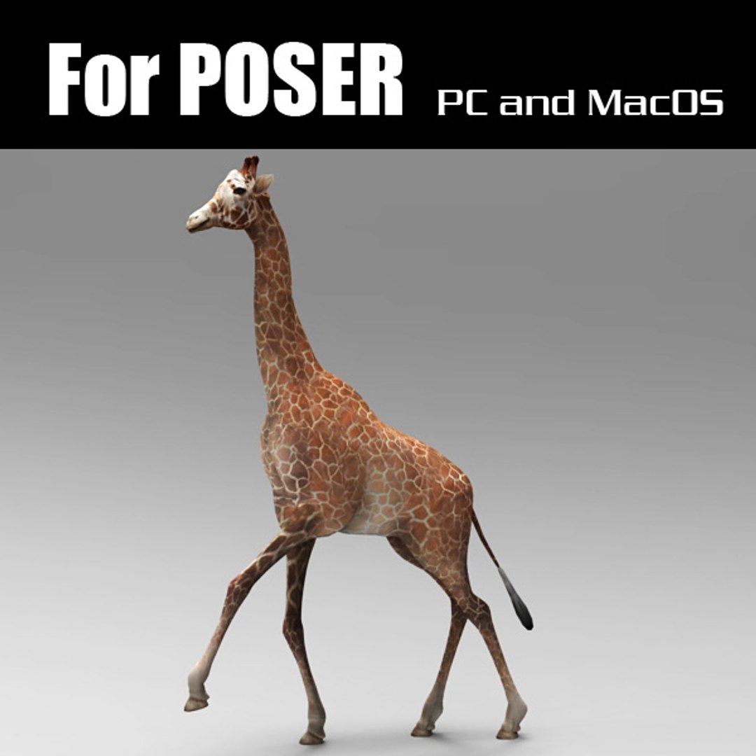 3d Giraffe Poser Model