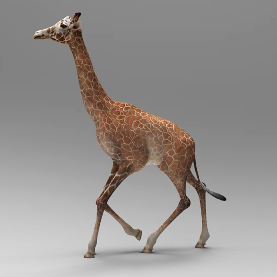 3d Giraffe Poser Model