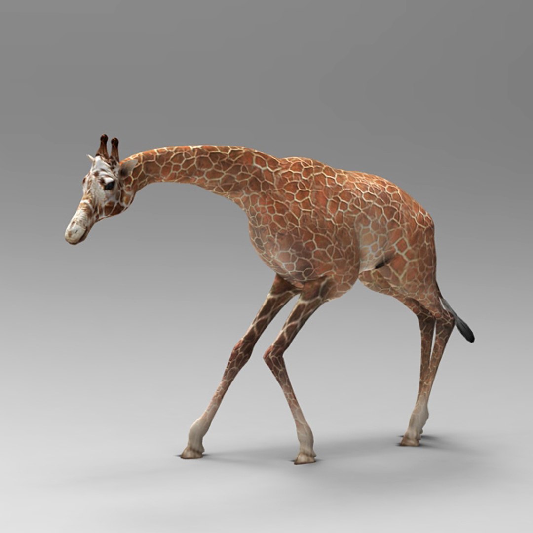 3d Giraffe Poser Model