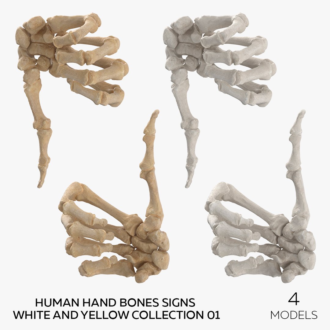 Human Hand Bones Signs White and Yellow Collection 01 - 4 models 3D ...