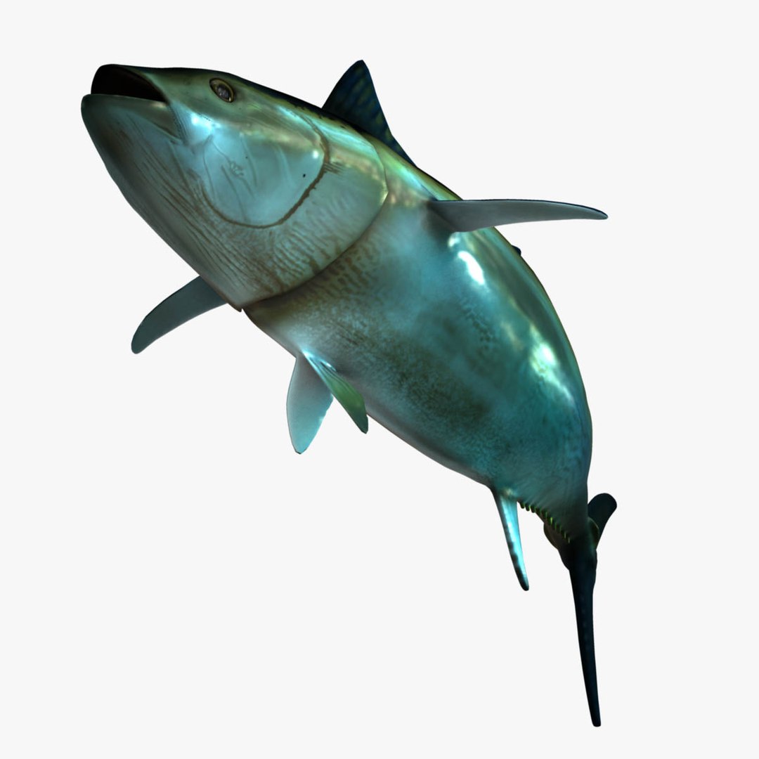 Giant Bluefin Tuna 3d Model