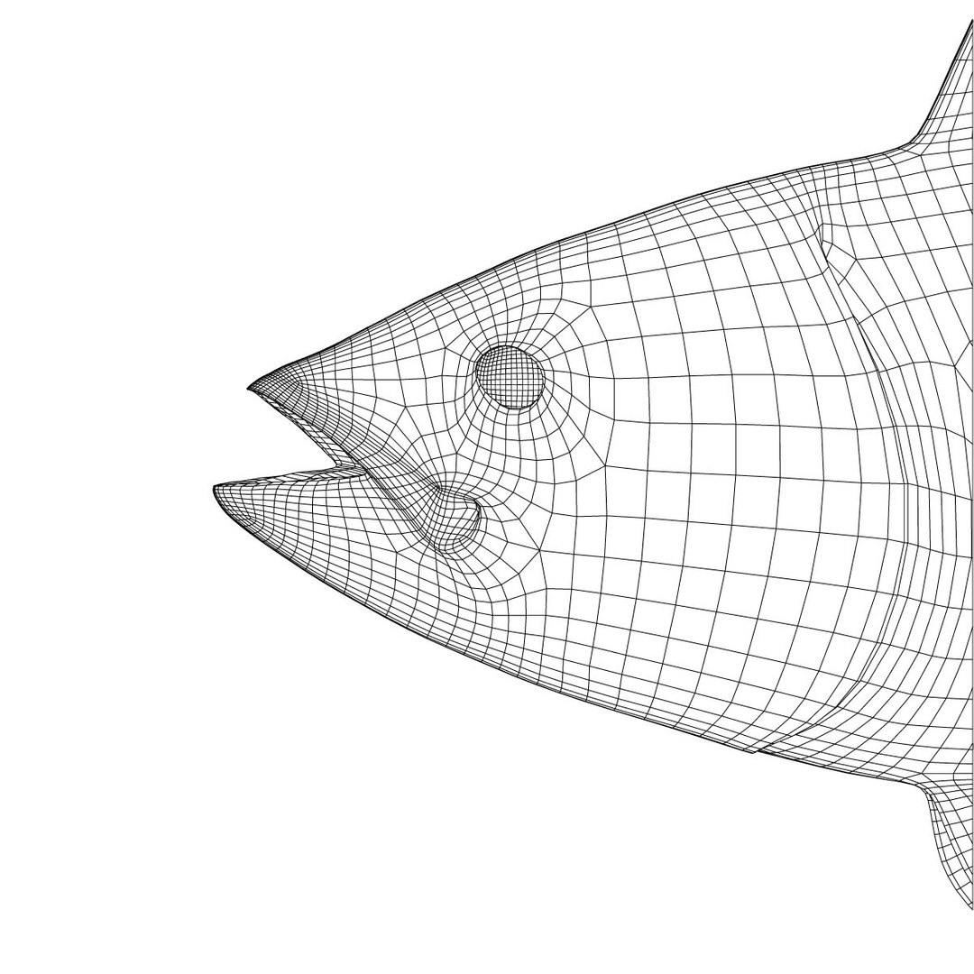 Giant Bluefin Tuna 3d Model