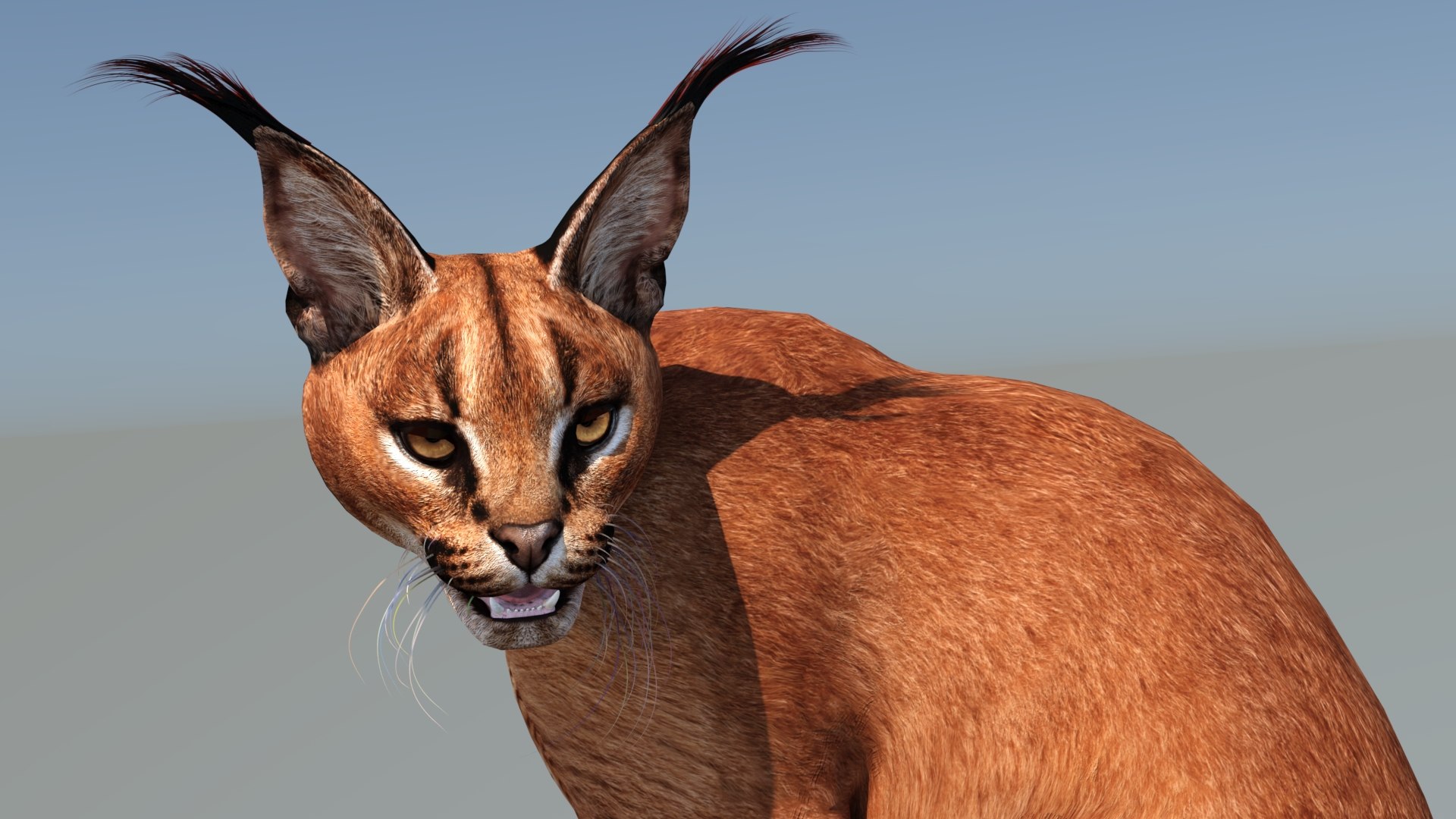 Caracal Rigged 3D model - TurboSquid 2068257
