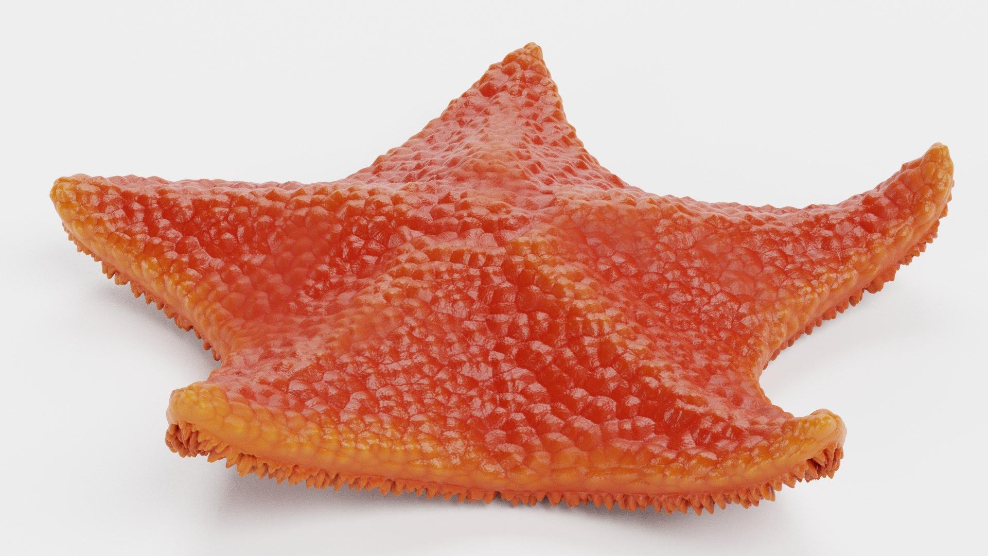 Bat Starfish Red 3D - TurboSquid 1703822