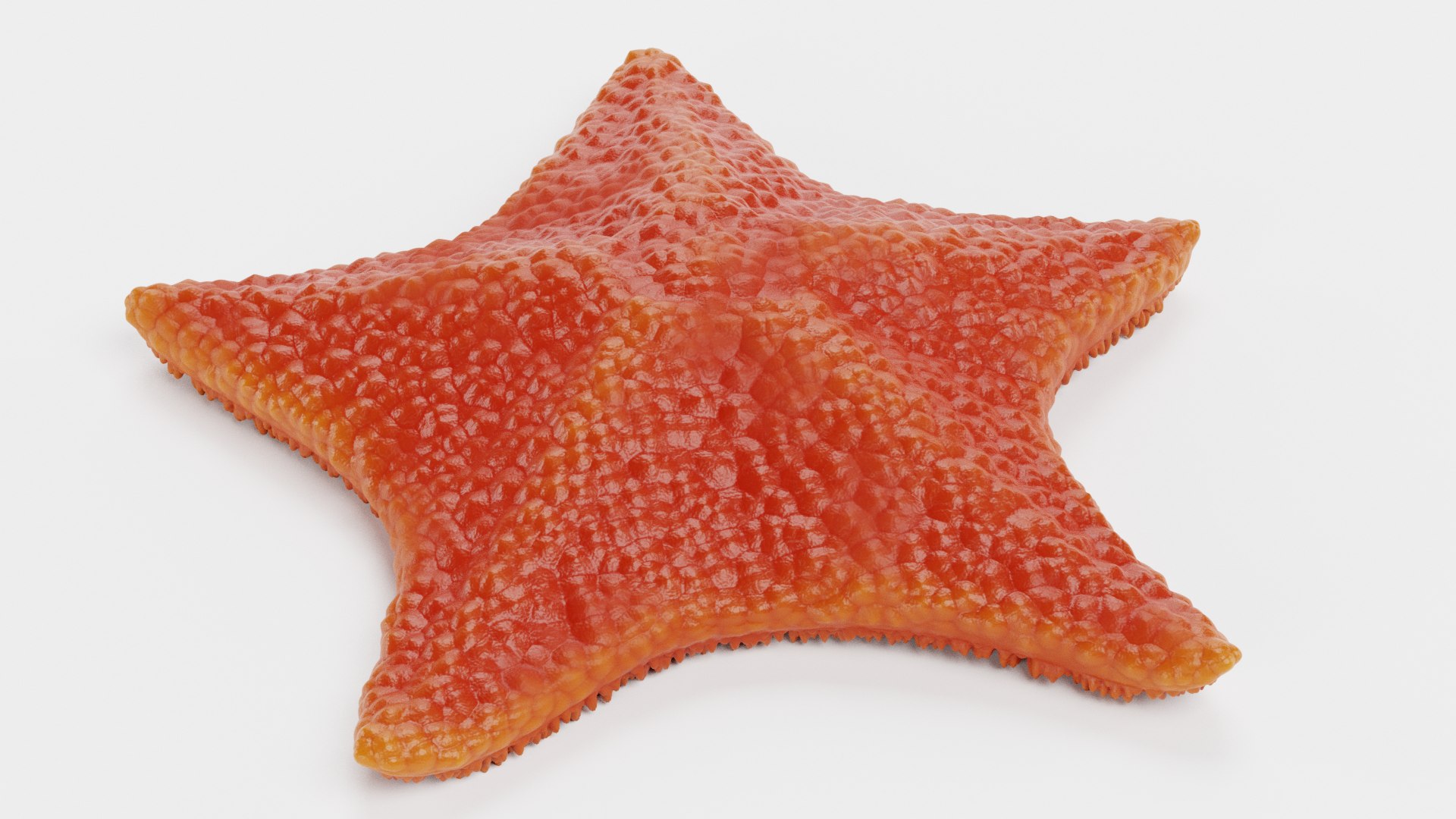 Bat Starfish Red 3D - TurboSquid 1703822