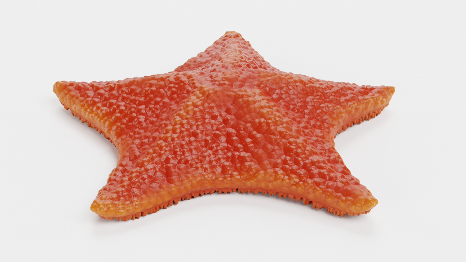 Bat Starfish Red 3D - TurboSquid 1703822