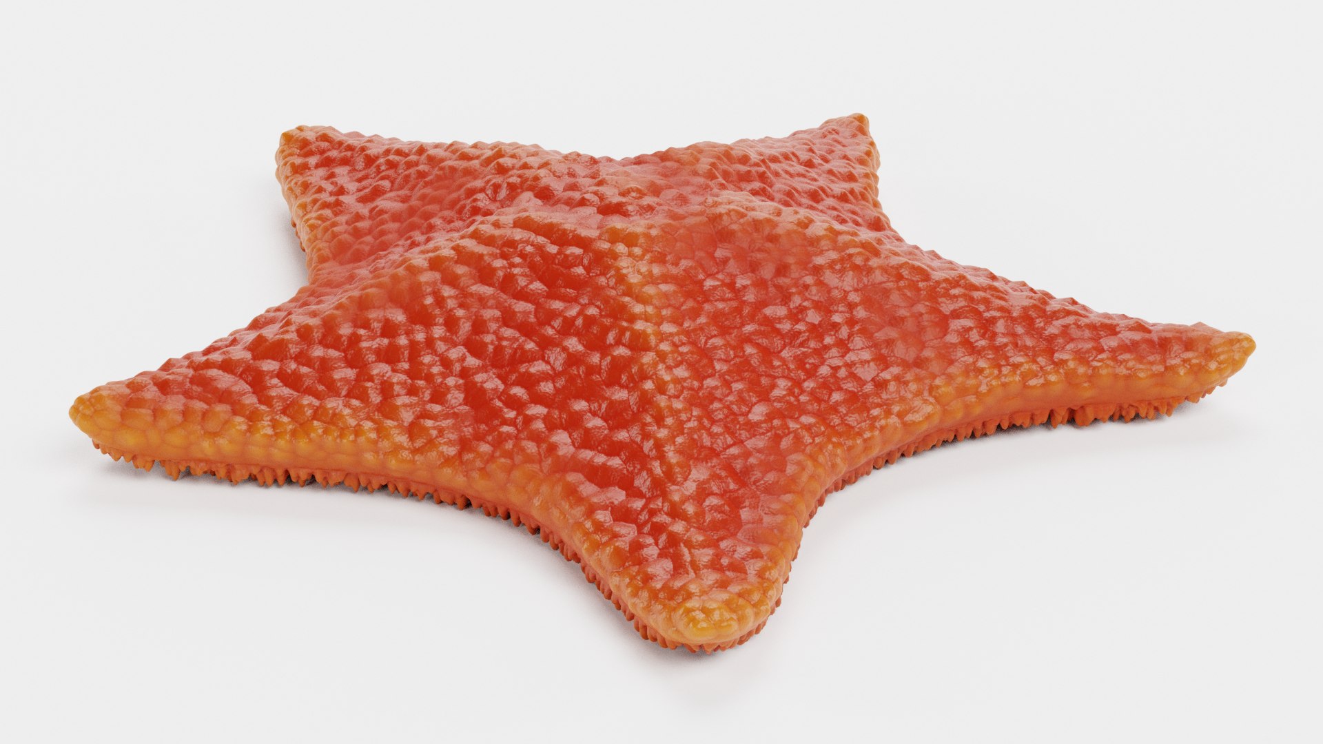 Bat Starfish Red 3D - TurboSquid 1703822