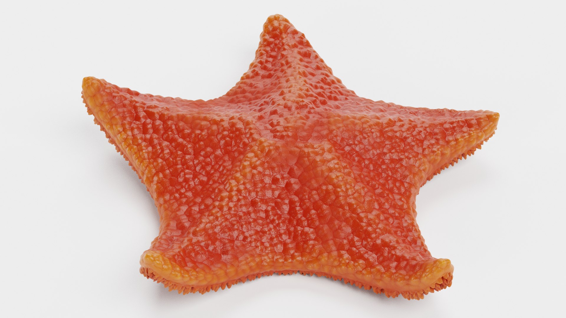 Bat Starfish Red 3D - TurboSquid 1703822