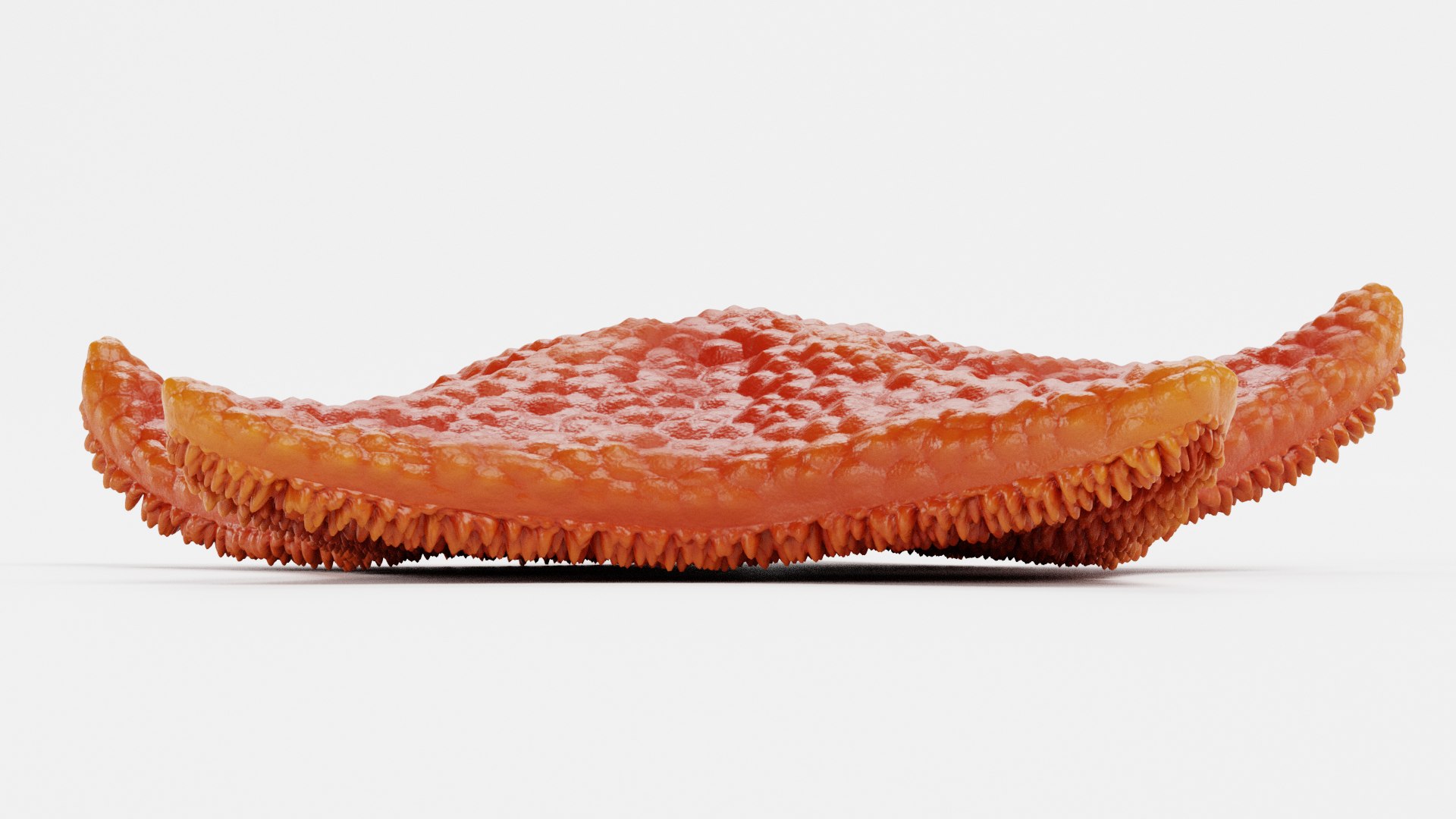 Bat Starfish Red 3D - TurboSquid 1703822