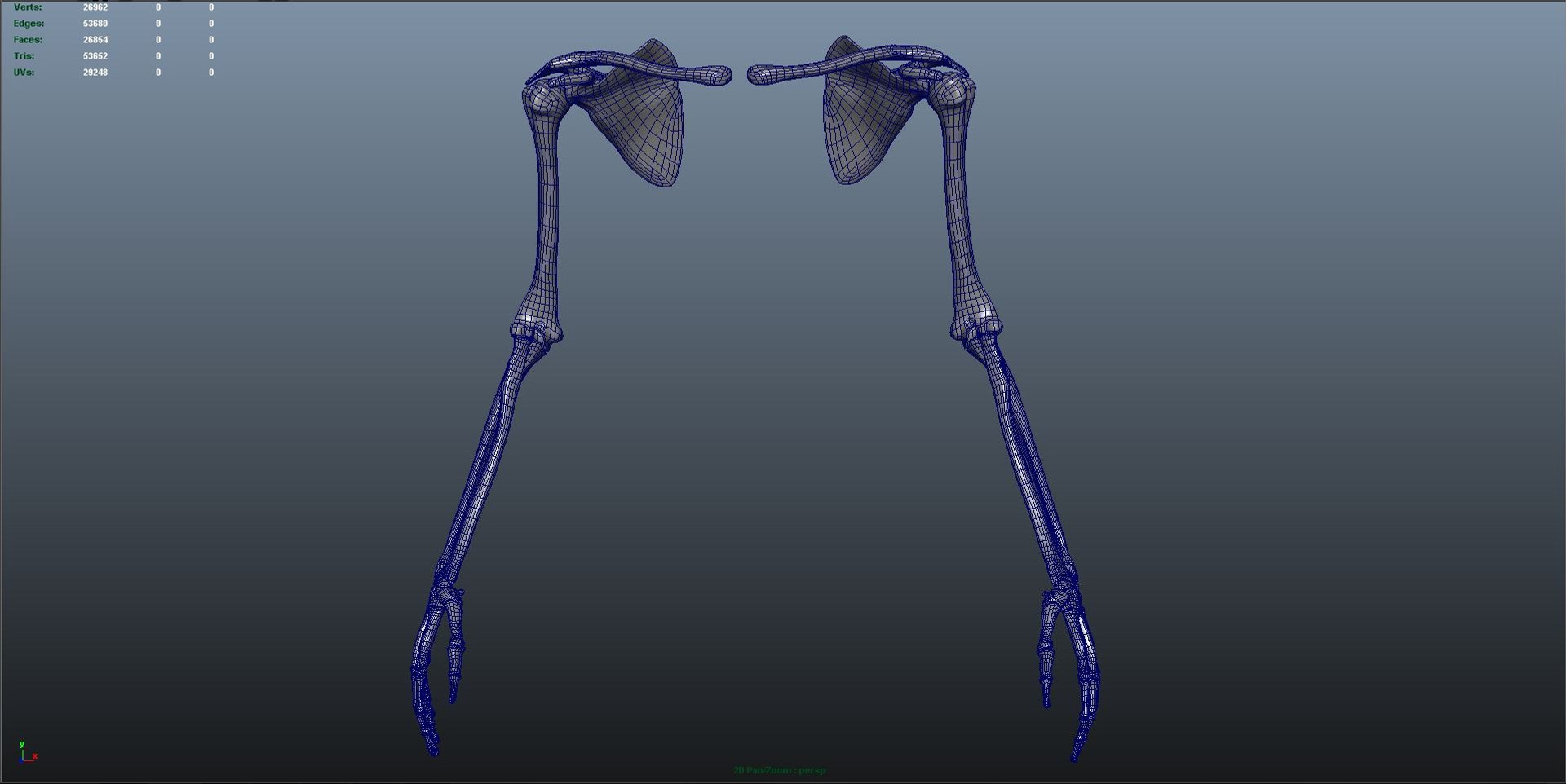 Upper Limb 3d Obj