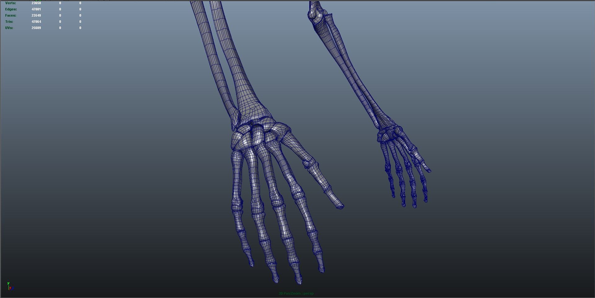 Upper Limb 3d Obj