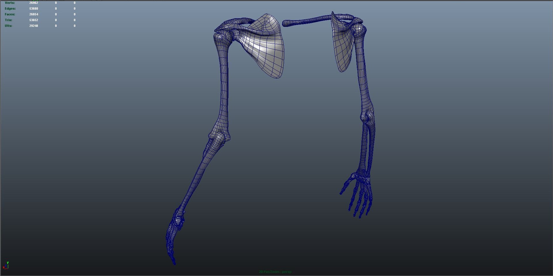 Upper Limb 3d Obj