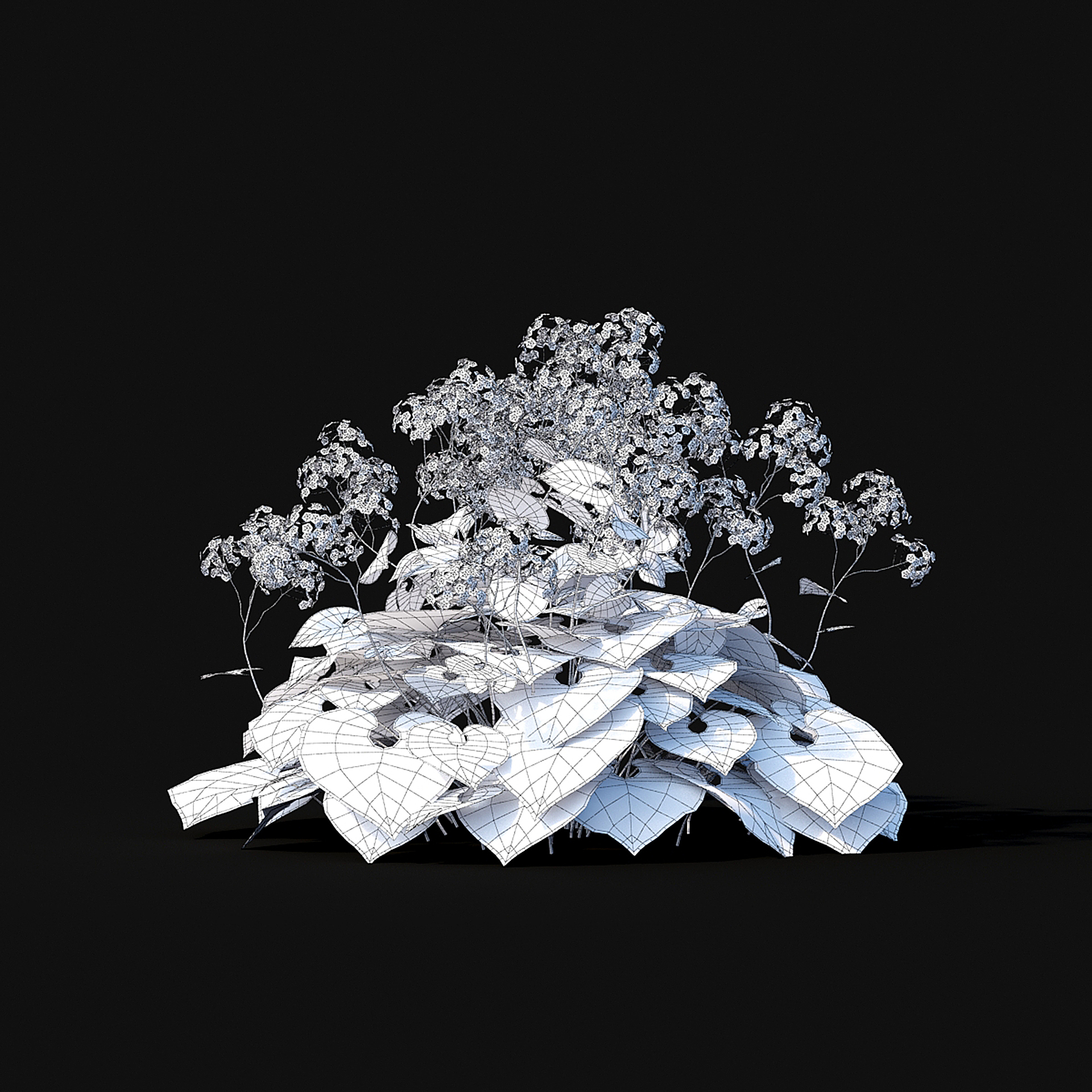 Brunnera macrophylla 3D model - TurboSquid 1909105