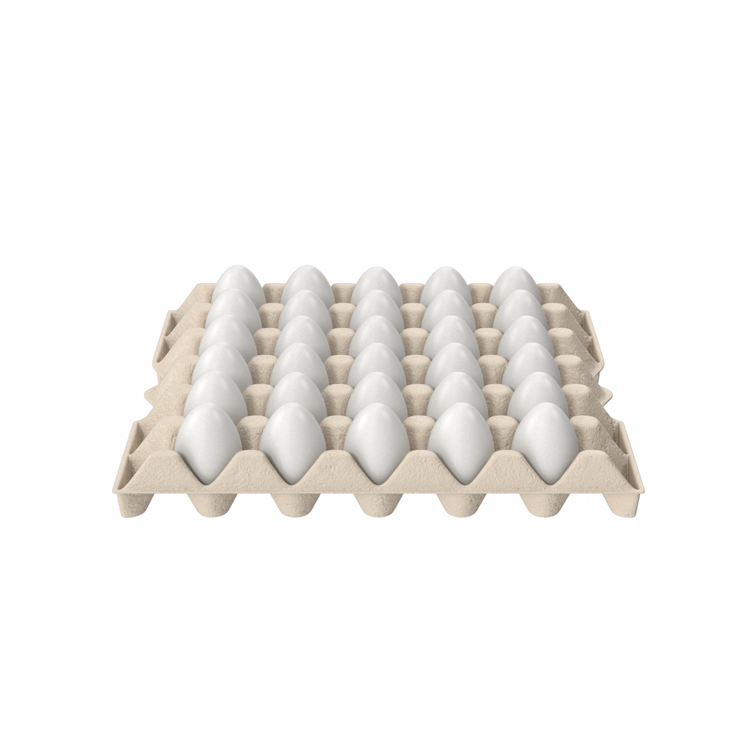 Egg Carton With Eggs 3D - TurboSquid 2205884
