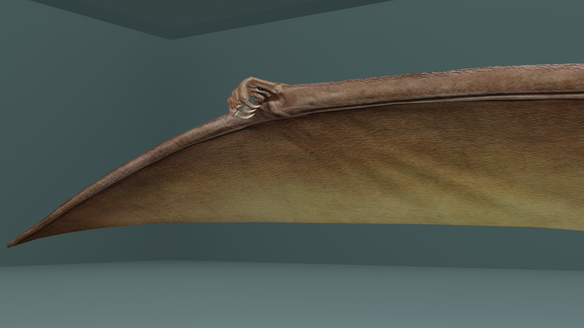 The Flying Pterodactyl Animated 3d Model 3D - TurboSquid 2378601