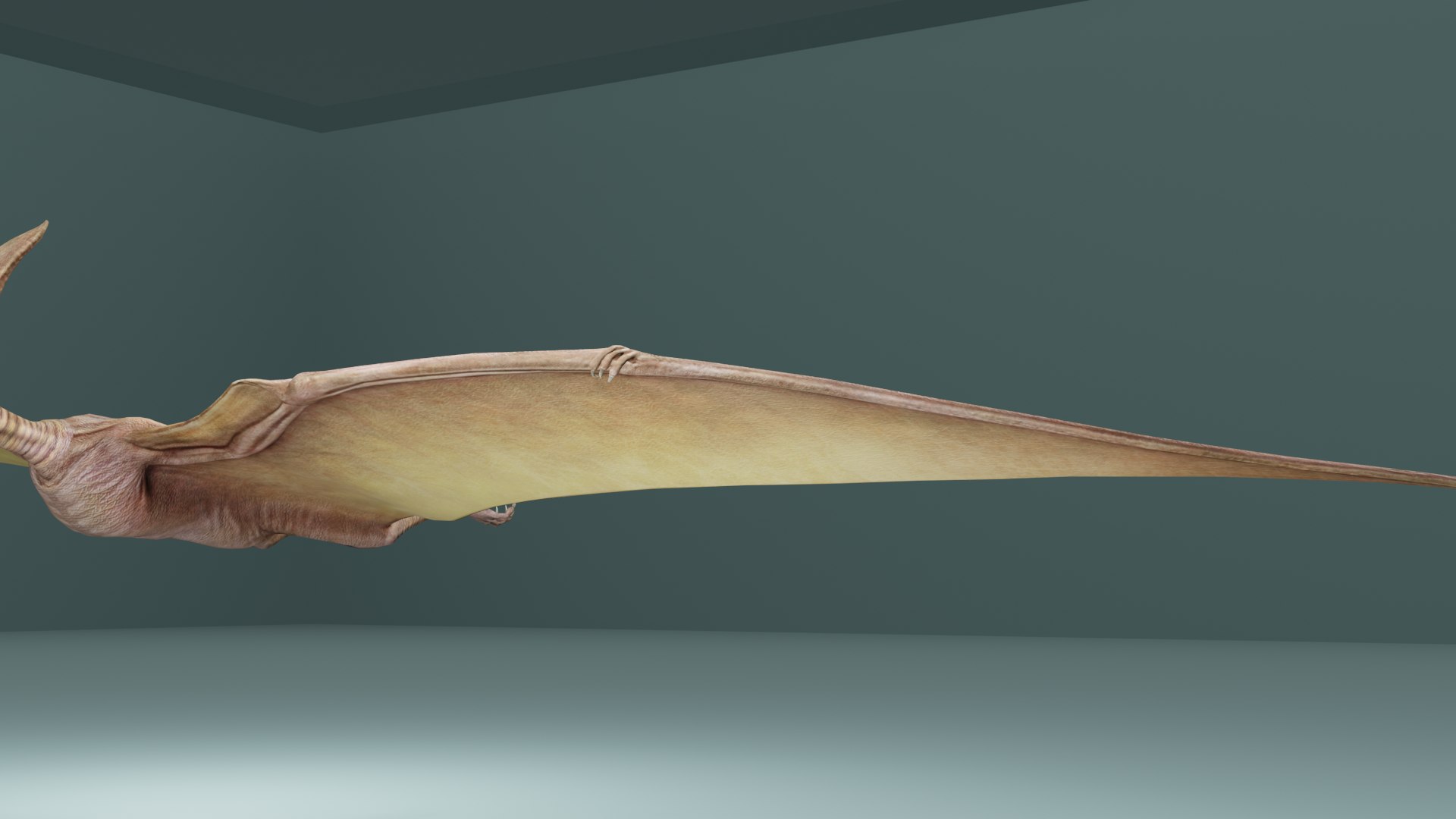 The Flying Pterodactyl Animated 3d Model 3D - TurboSquid 2378601