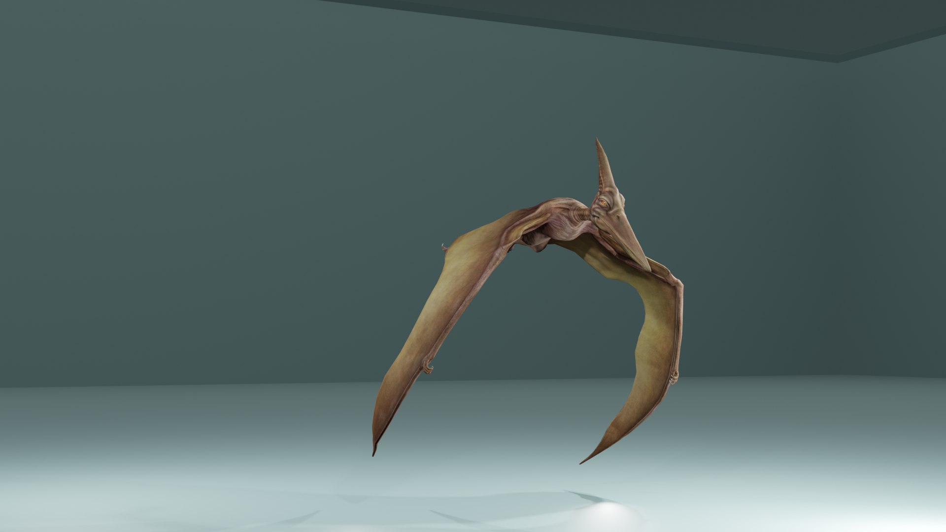 The Flying Pterodactyl Animated 3d Model 3D - TurboSquid 2378601