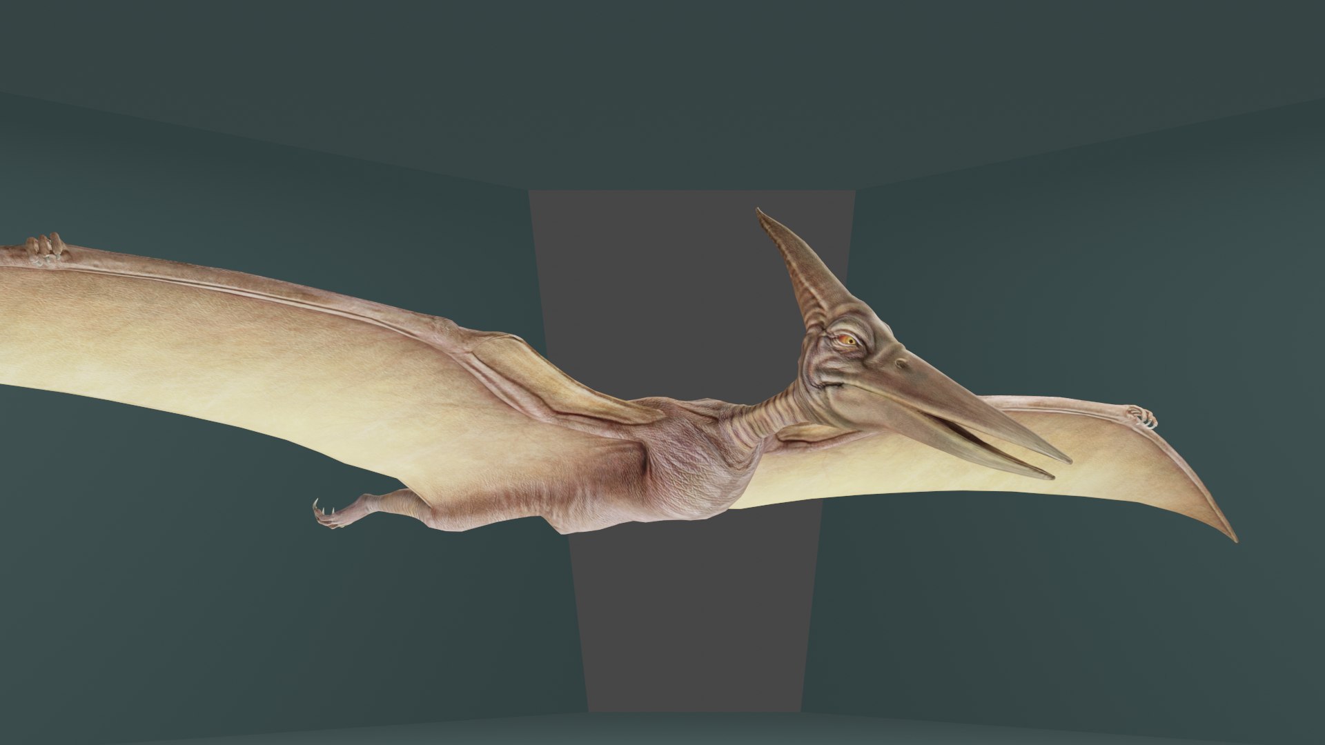 The Flying Pterodactyl Animated 3d Model 3D - TurboSquid 2378601