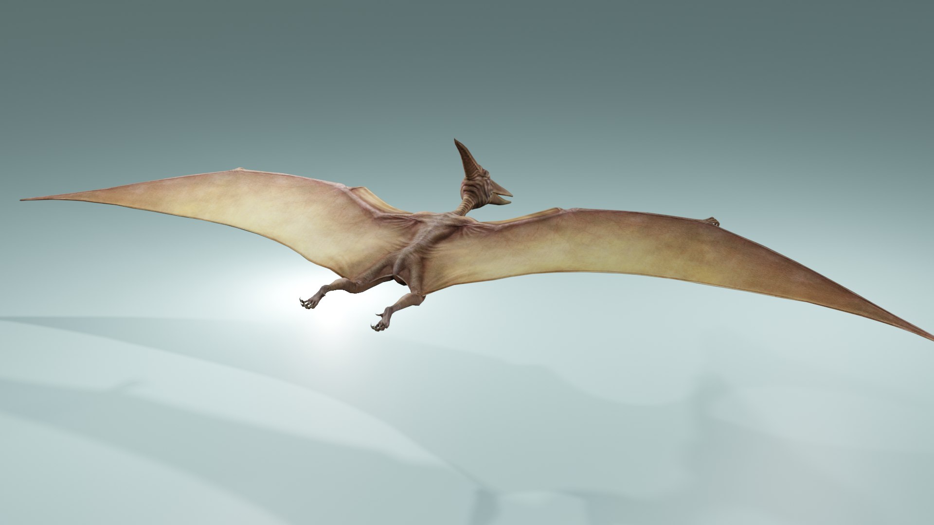 The Flying Pterodactyl Animated 3d Model 3D - TurboSquid 2378601