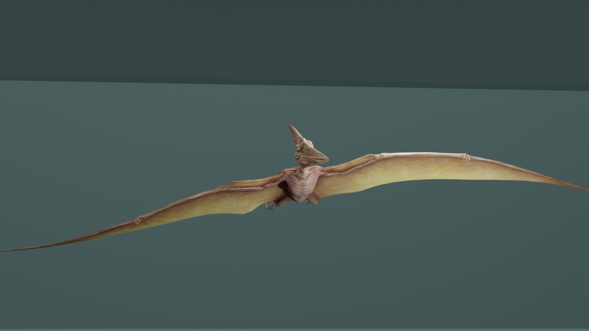 The Flying Pterodactyl Animated 3d Model 3D - TurboSquid 2378601