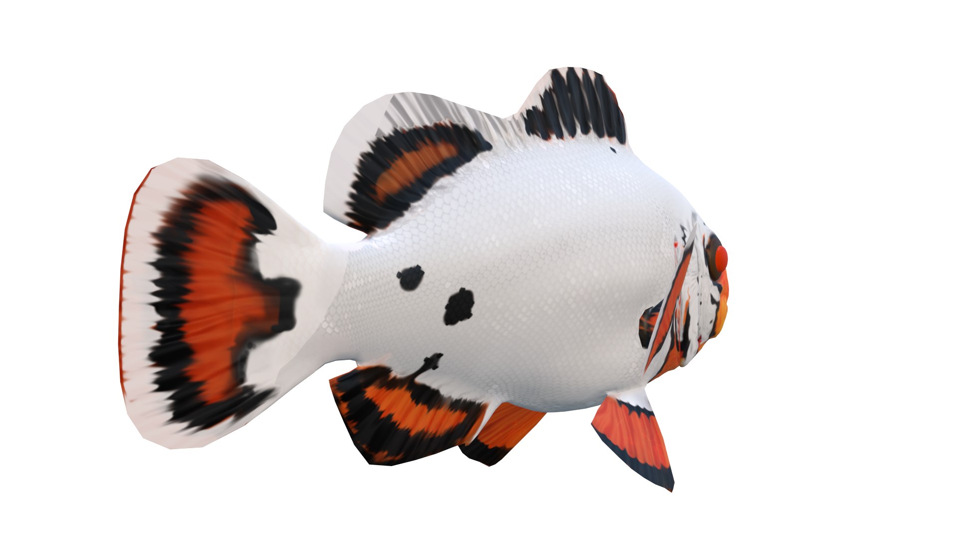 3D Clownfish Fish 3D Model - TurboSquid 2313530