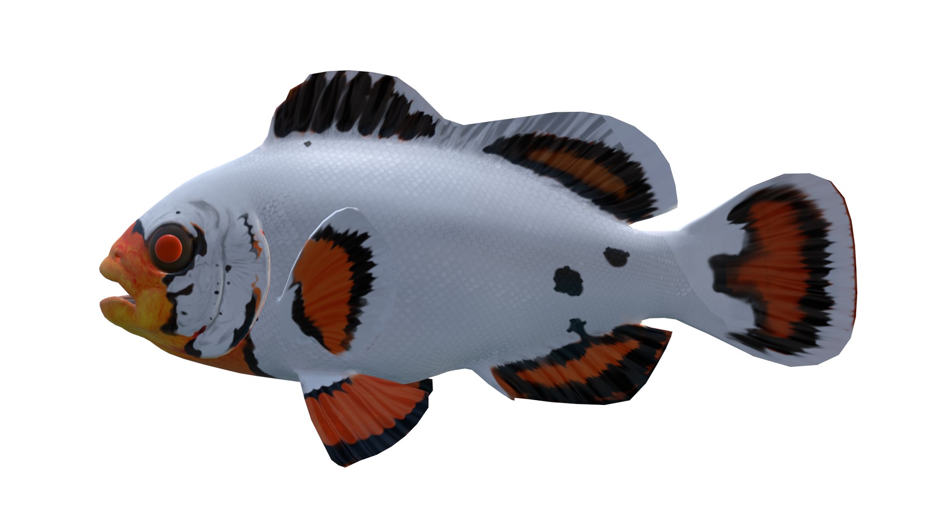 3D Clownfish Fish 3D Model - TurboSquid 2313530
